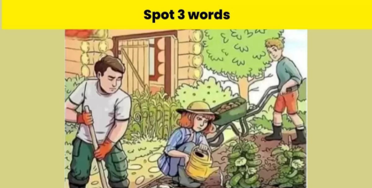 “Brain Teaser”: Find three hidden words in the farm picture